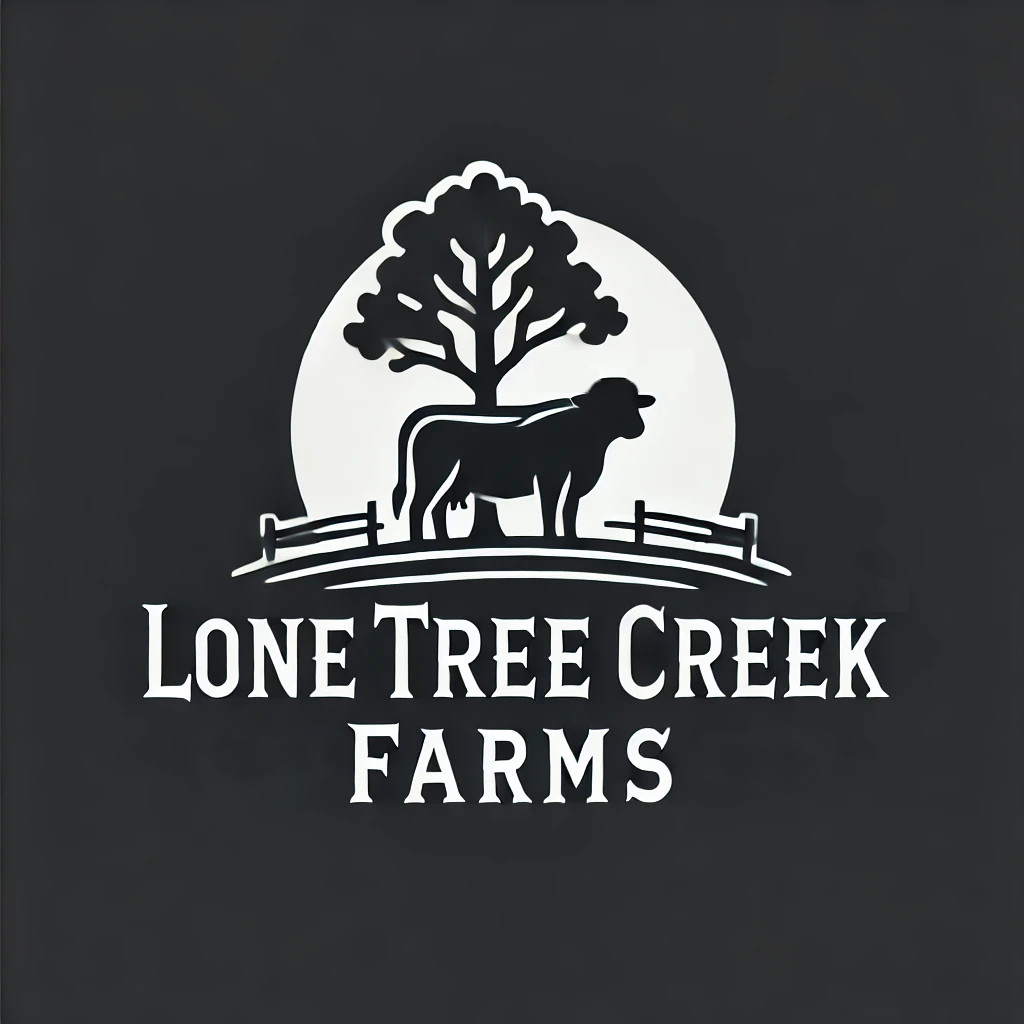 Bred Heifers for Sale – Lone Tree Creek Farms